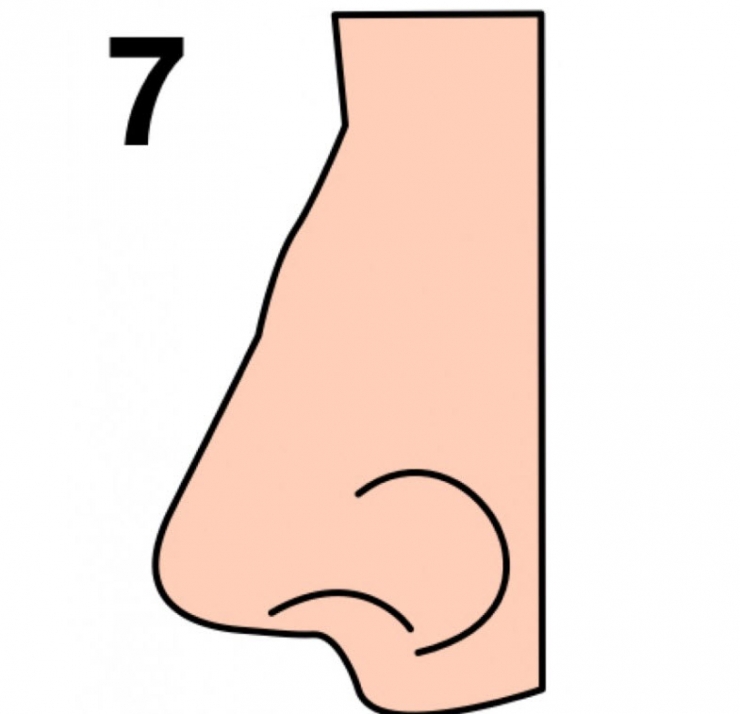 La forme de votre nez en dit beaucoup sur votre personnalité… Voici ce ... La forme de votre nez en dit beaucoup sur votre personnalité… Voici ce ...