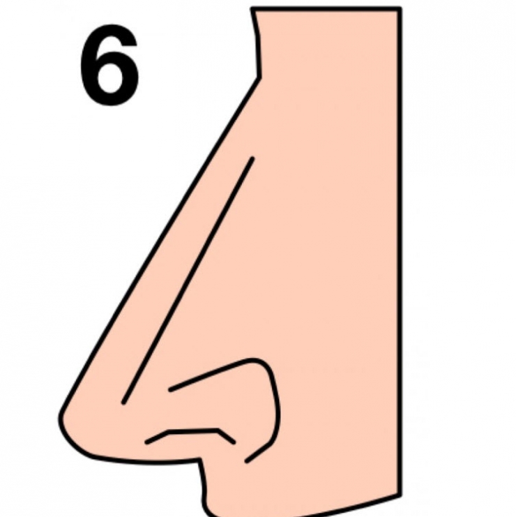 La forme de votre nez en dit beaucoup sur votre personnalité… Voici ce ... La forme de votre nez en dit beaucoup sur votre personnalité… Voici ce ...