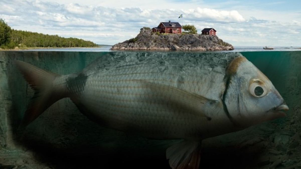 Les 15 montages Photoshop les plus incroyables