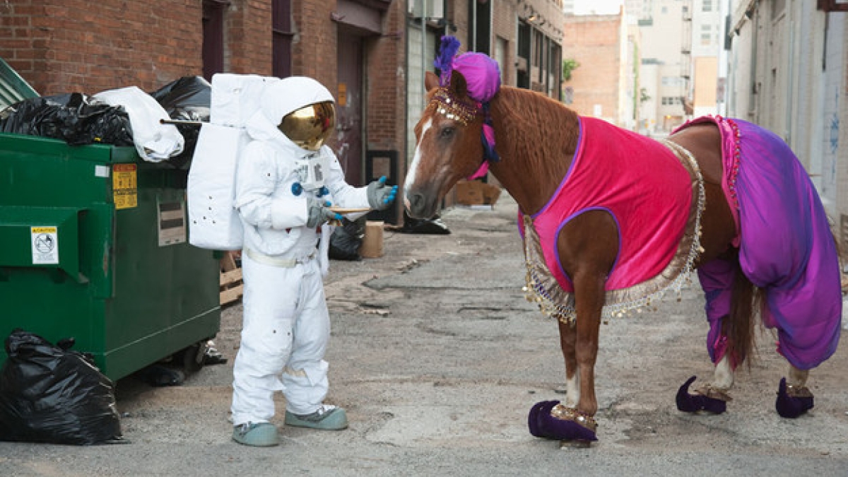 Le top des 10 photos les plus absurdes