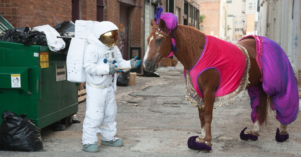 Le top des 10 photos les plus absurdes