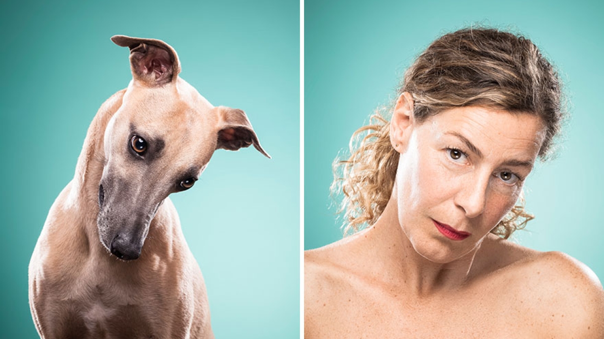 Tel humain, tel chien : 22 photos d'hommes et de femmes imitant leurs ...