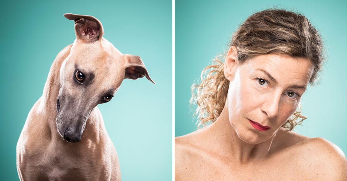 Tel humain, tel chien : 22 photos d'hommes et de femmes imitant leurs ...