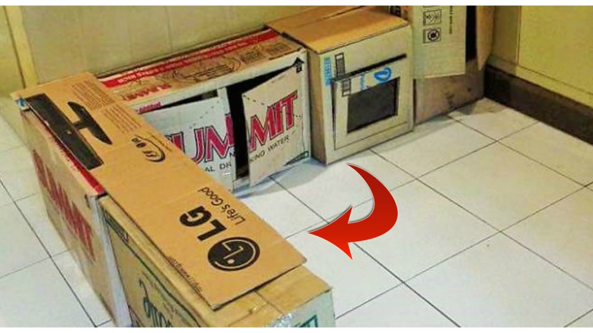 Cette mère entasse des cartons sur le sol. Ce qu'elle en fait pour sa ...