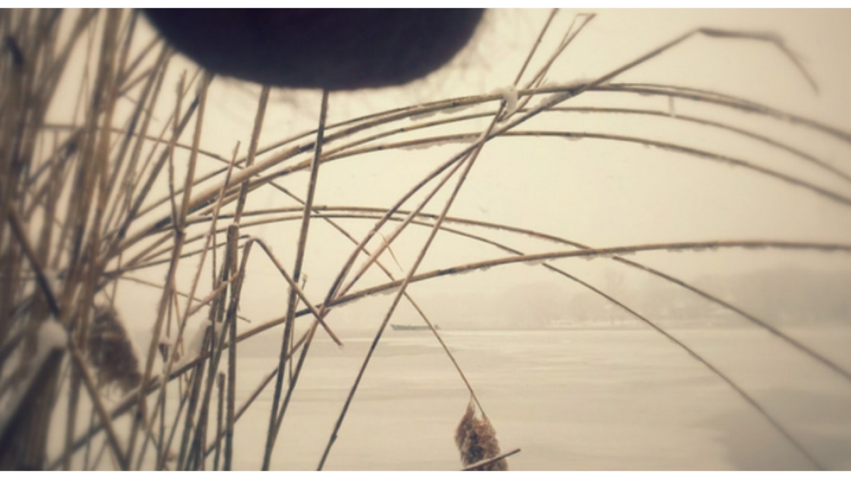 Des paysages, des testicules et des photos... Vous connaissez cette ...