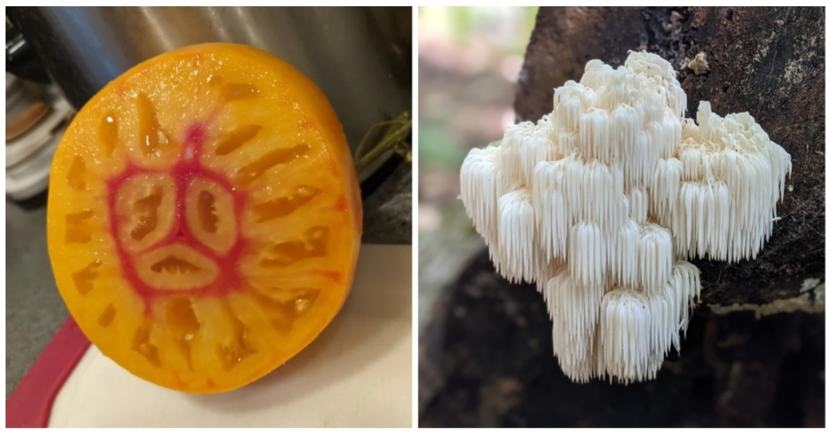 Ces 20 photos qui illustrent la puissance de la nature